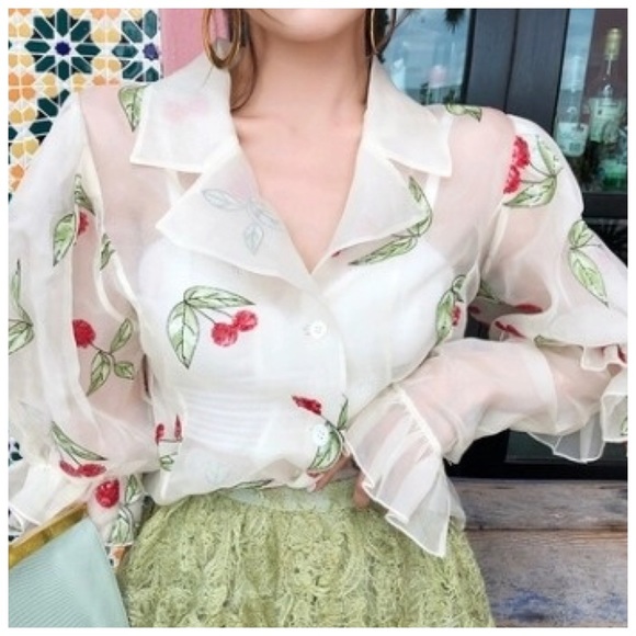 Tops | The Patrizia Sheer Cherry Blouse | Poshmark